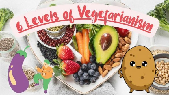6 Levels of Vegetarianism Quick Guide | How to categorise vegetarian