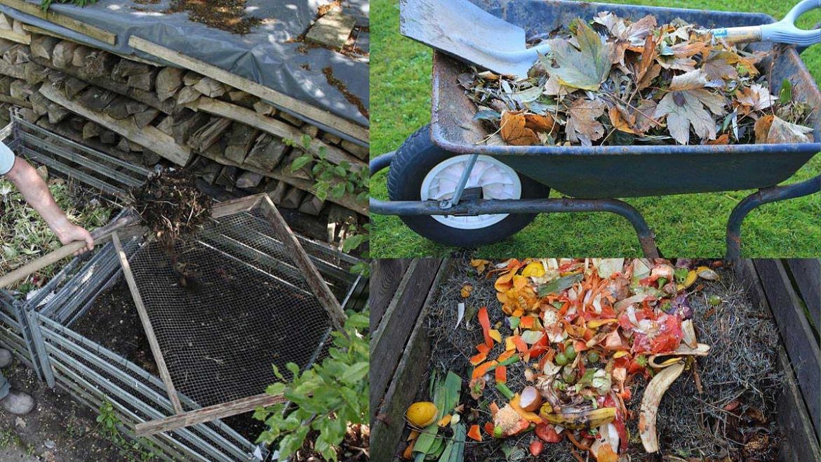 Turning the Compost | How to Maintain the Compost in Your Backyard