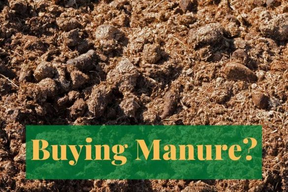 Humates: The Critical Component To Soil Fertility