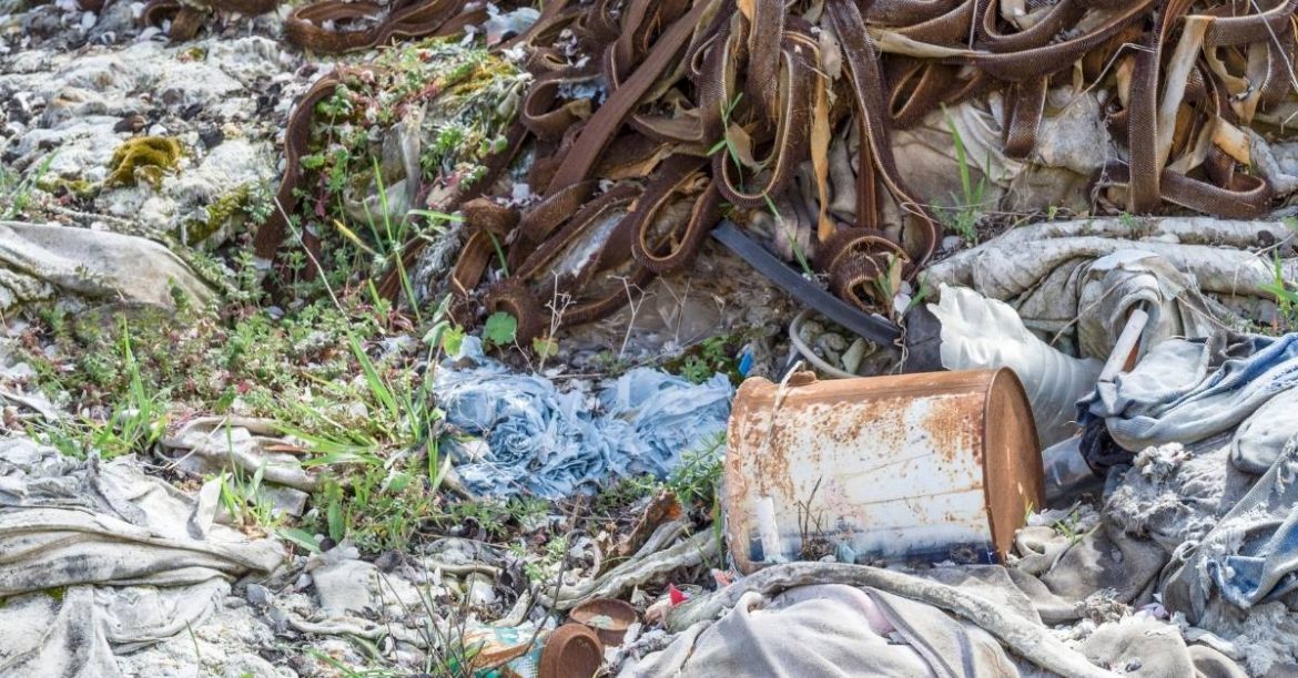 Metal Contamination in Soils