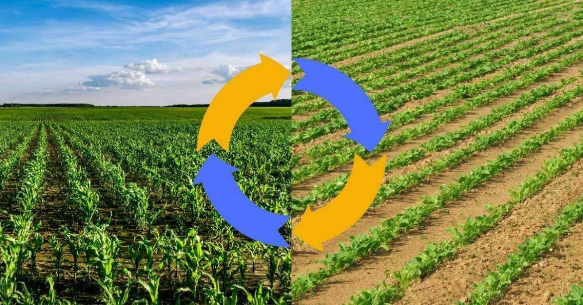 14 Benefits of Crop Rotation